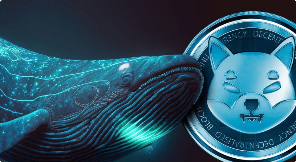 Shiba Inu (SHIB) Sees Massive $36 Million Transfer. This Mo | Crypto Web3 Today on Binance Square