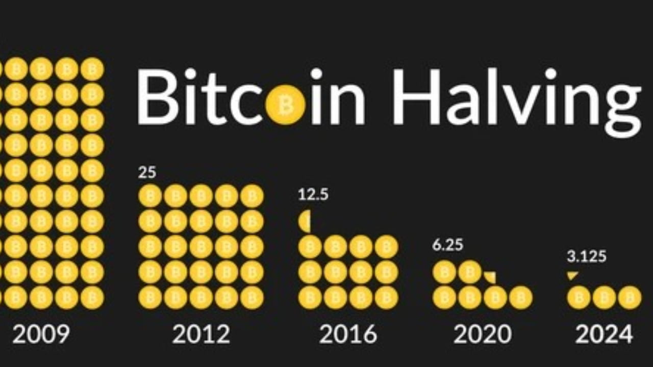 Bitcoin's Five Stages Before Halving: What to Expect | CryptoWatchers ...