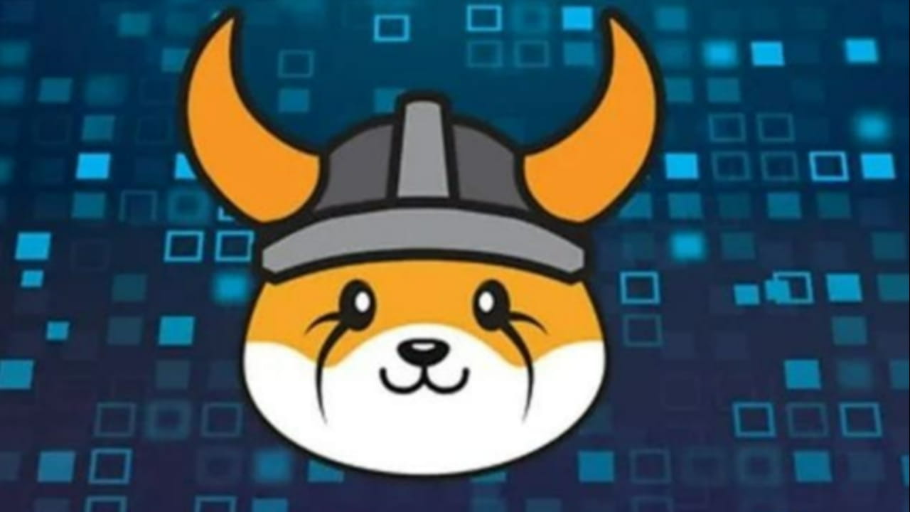 Floki Inu (FLOKI) surges 10% before launch, tokenization causes internet sensation! | Cryp晚风 on ...