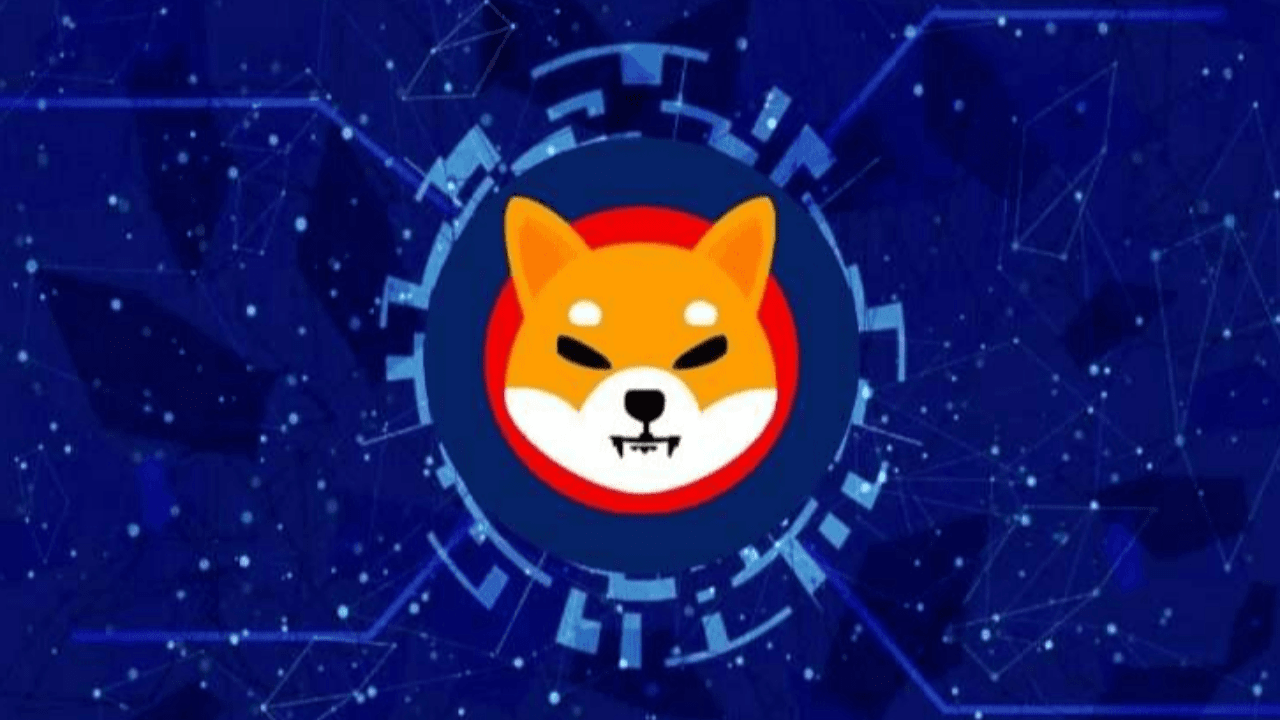 Shiba Inu (SHIB) Witnesses Surge in Whale Holdings; Bullish? | 安知予之乐 on Binance Square