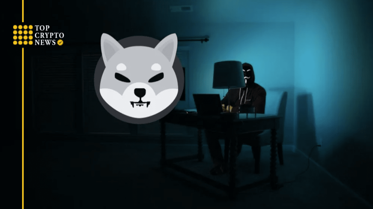 Shiba Inu NFT to Launch on Shibarium; Gathers Momentum | TopCryptoNews ...
