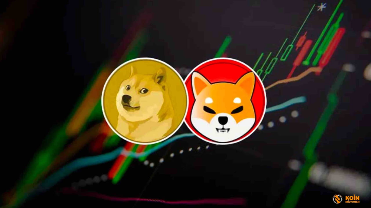 Comparison of the DOGE and SHIB Markets | koinmilyoner on Binance Square