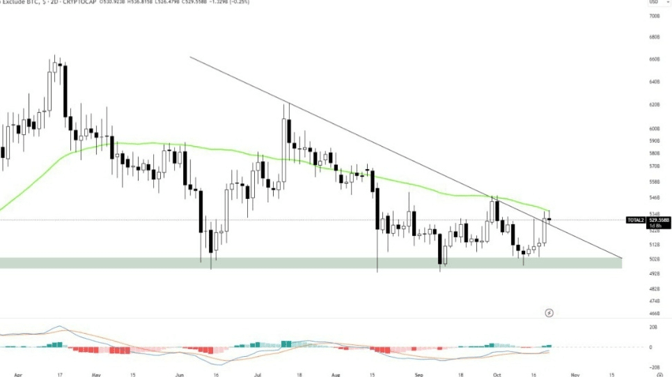 ALTS MARKET CAP ANALYSIS | Mastering Crypto on Binance Square