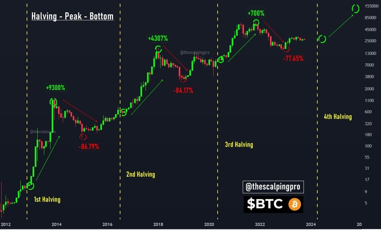 #Bitcoin Halving - Peak - Bottom Return • 1st Halving | Eternel ...