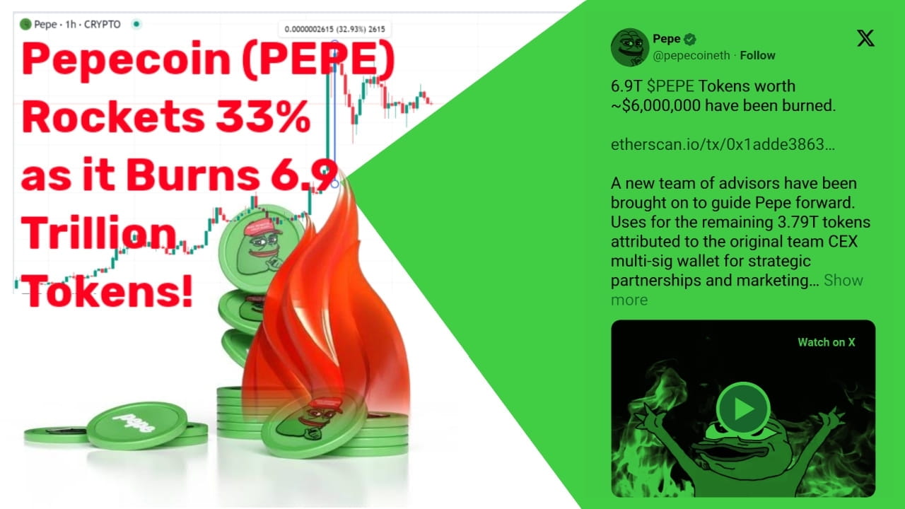 🐸🚀Pepecoin (PEPE) Rockets 33% as it Burns 6.9 Trillion Tok | VRNS95 on ...