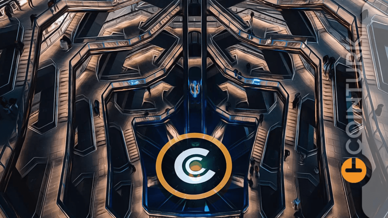 Investors Vomited Blood! These 3 Altcoins Crashed After the ...