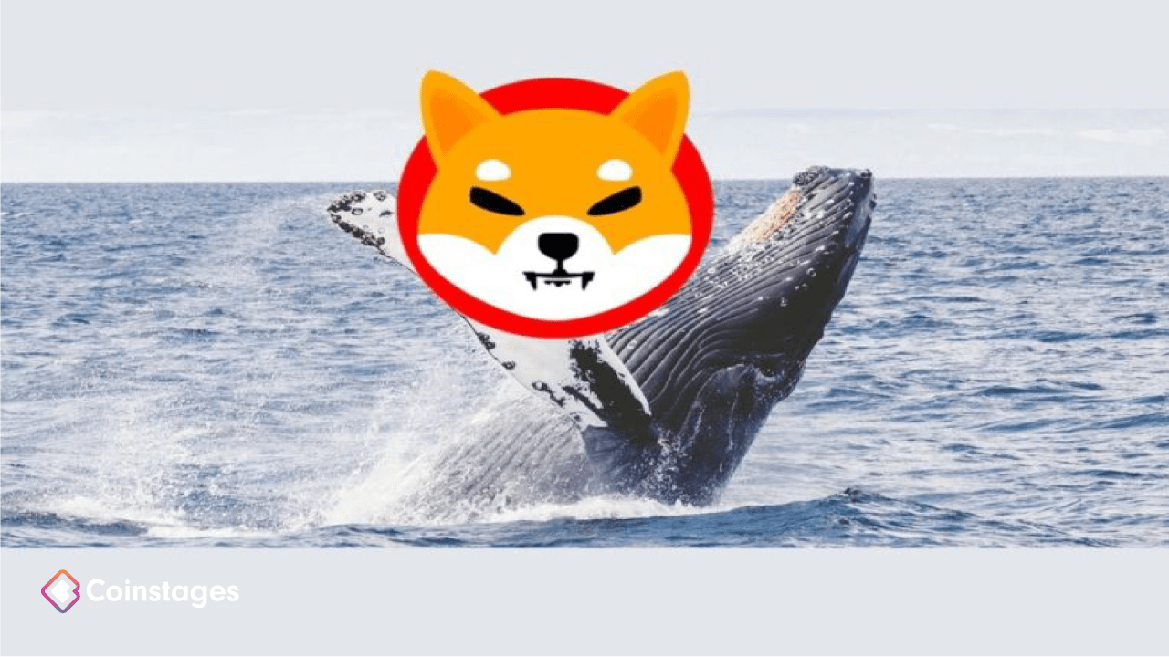 Shiba Inu Whale Moves 4.5 Trillion SHIB As Bull Sees Revival. Here’s the Destination ...
