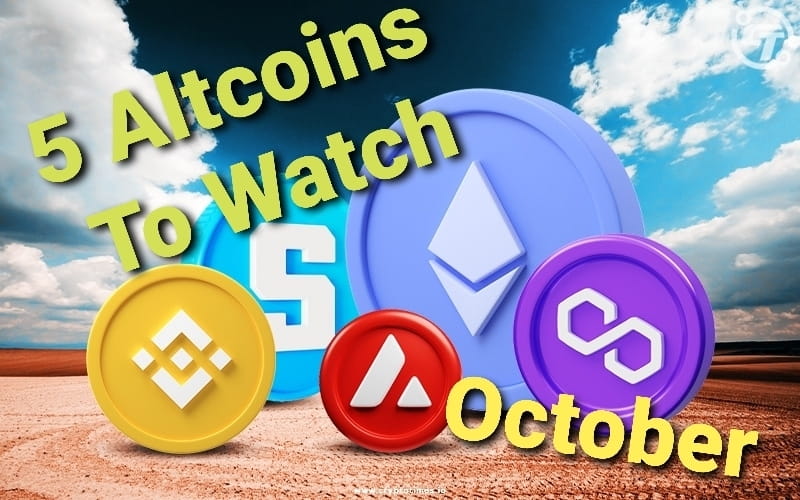 WATCH These 5 Altcoins Cryptos ! You Should Keep an Eye on i | The Buzzing Bee on Binance Square
