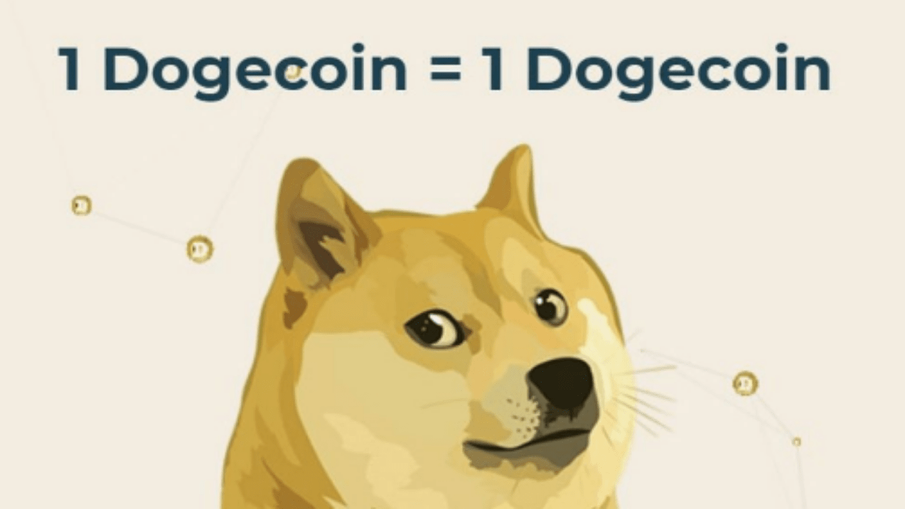 Get to Know the 'Dogecoin Killer' and Its Future Roadmap | syakinah ...