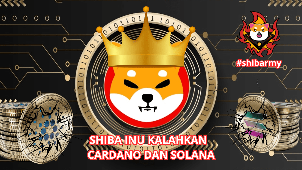 SHIBA INU BEATS CARDANO AND SOLANA, HOW COULD IT ?? HERE are the FACTS | Crypto Exist on Binance ...