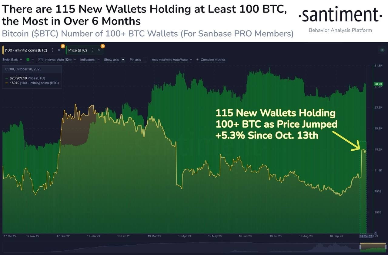 🥇 Bitcoin's number of wallets holding at least 100 BTC has | Crypto ...