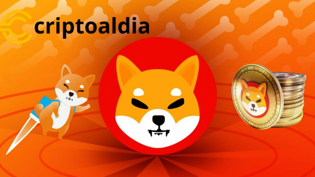 Red alert! Shiba Inu (SHIB) triggers a critical divergence that could ...