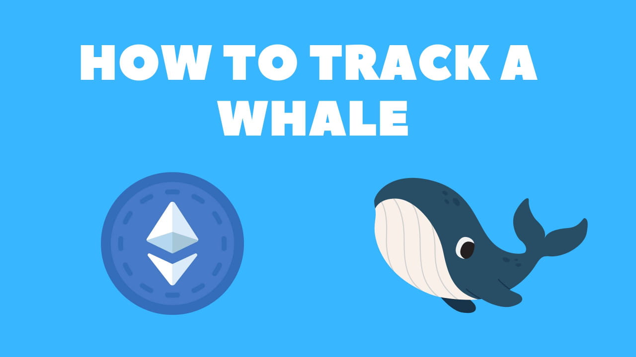 Track Big Whales for Massive Returns | Crypto_Pilot_ on Binance Square