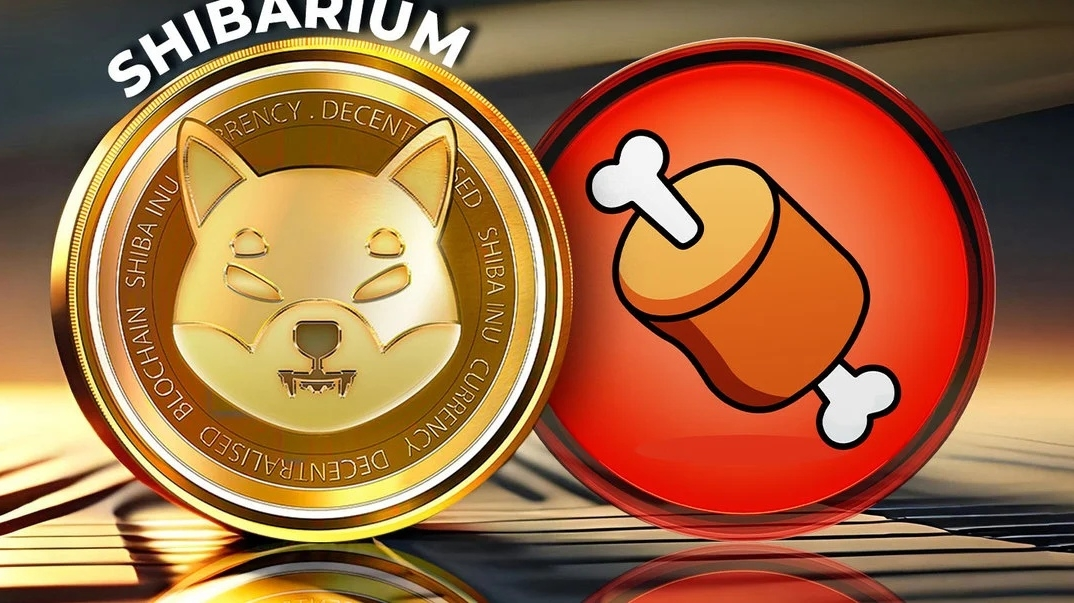 BONE của Shiba Inu thu hút được sự chú ý với danh sách mới nhất | Mastering Crypto trên Binance ...