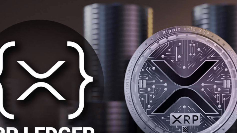 XRP Holders Should Mark This Step to Get This Reward. XRP h | Crypto ...