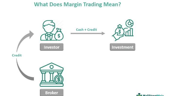 A QUICK AND EASY APPROACH TO UNDERSTAND MARGIN TRADING AND BORROWING ...
