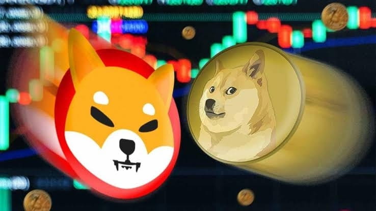😱🚀Shiba Inu Will Delete Another Zero, Analysts Predict 40% | Crypto Ahmet on Binance Square