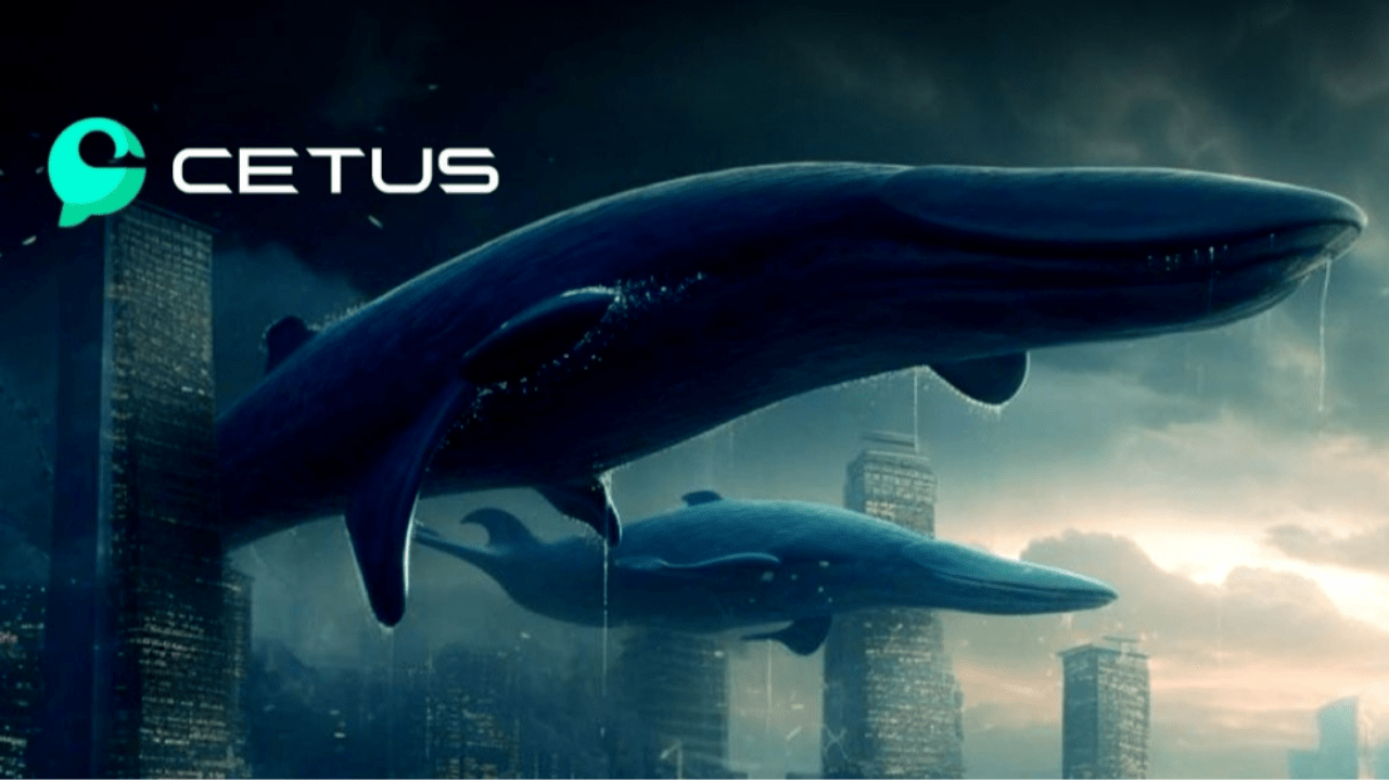 Cetus breaks through the skyline! Miracle landing support, why does ...