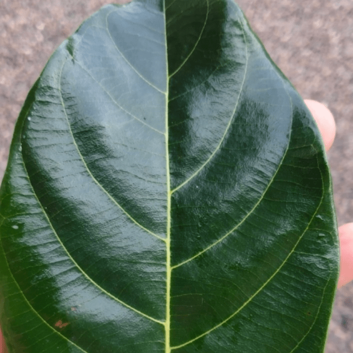 sumesh's Profile | Binance Square