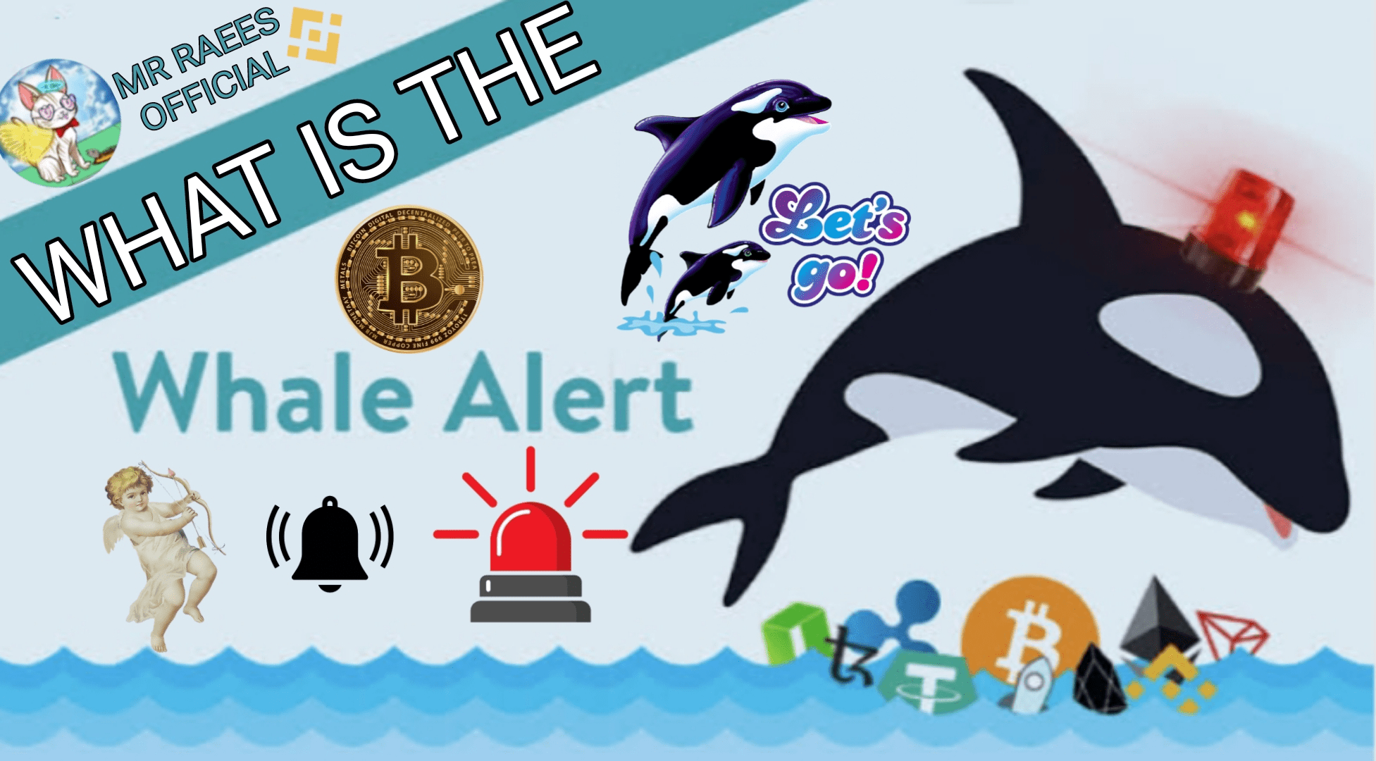 Що таке Whale Alert у крипто...? | MR RAEES OFFICIAL на Binance Square