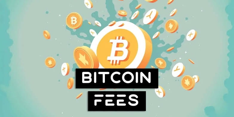 🚀 Unprecedented Bitcoin Fee: $3.1M for 139 BTC Transfer 🌐 | Trading ...