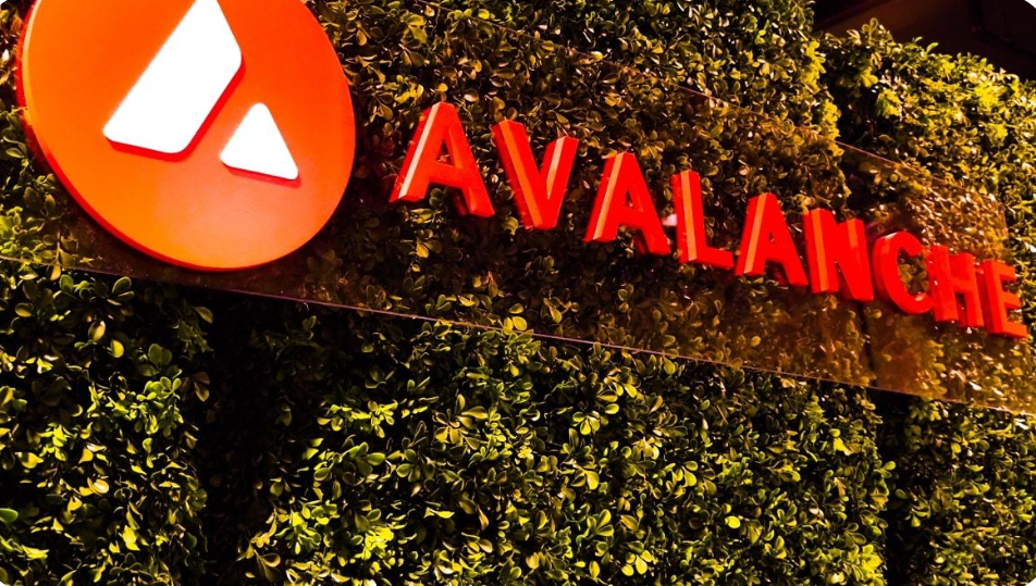 Avalanche (AVAX) Received 10 Million Dollars Investment, Thi | Crypto Web3 Today on Binance Square