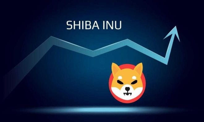 Shiba Inu: How much is 1 SHIB worth in 2030? | 海绵进化论 on Binance Square