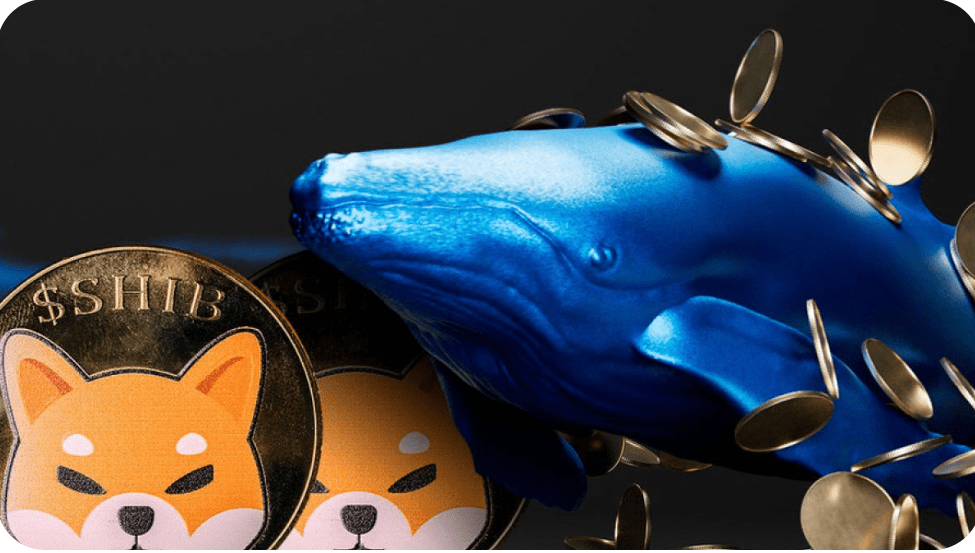 300 Billion Shiba Inu (SHIB) Received by Anonymous Whales: W | Crypto Web3 Today on Binance Square