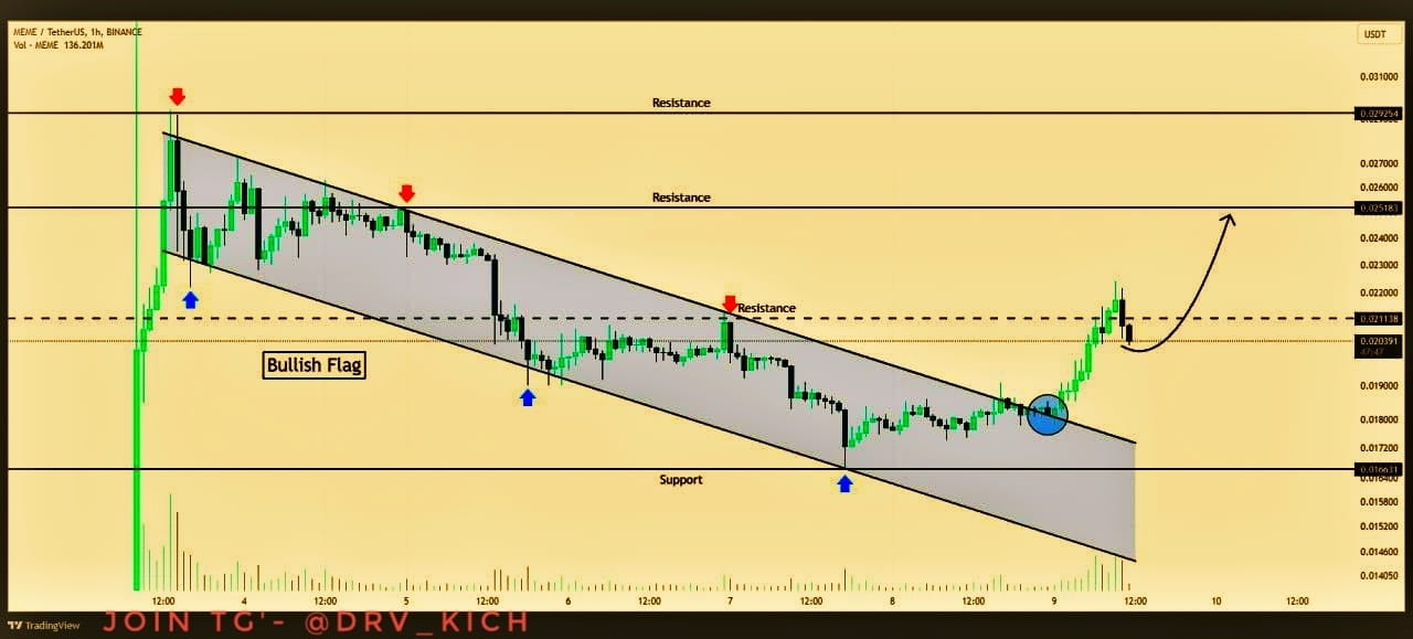 $MEME #Meme experiences a 40% correction, trading at $0.01 | Drvkich ...