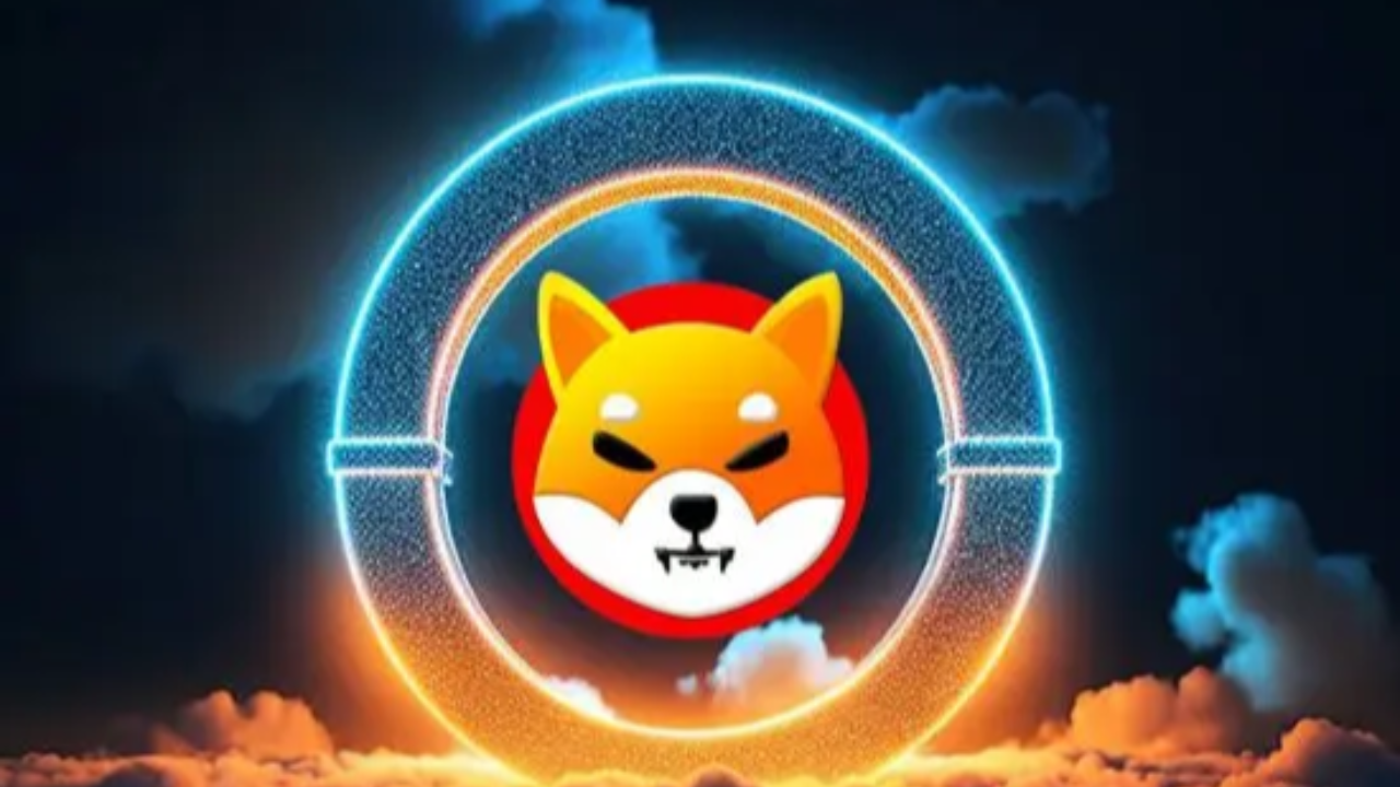 Shiba Inu (SHIB) price expected to reach 50 cents in 2024 | 海绵进化论 on Binance Square