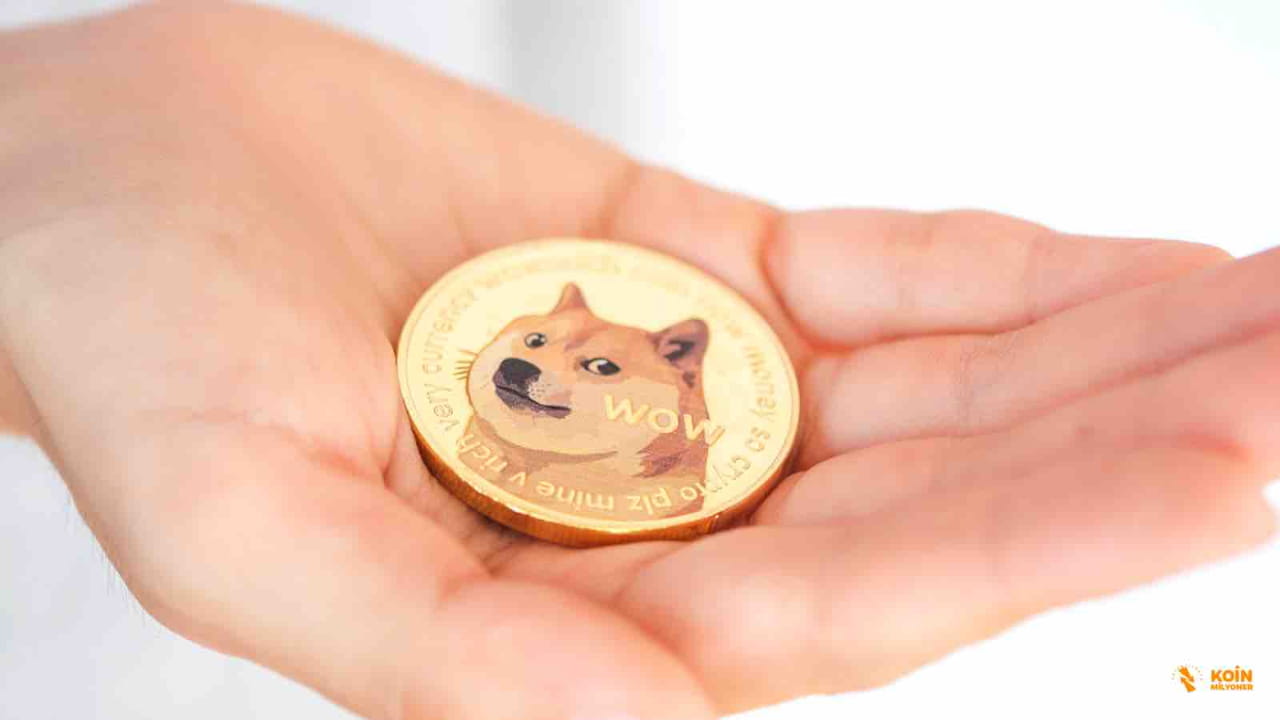 Why this week is crucial for Dogecoin owners, according to our price ...