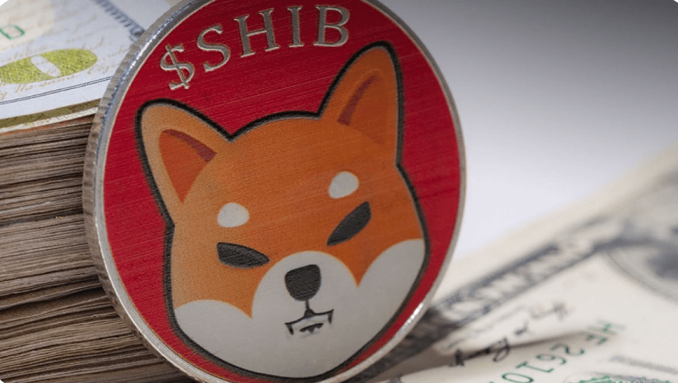 Shiba Inu's Shibarium Debuts New Feature. Shiba Inu's | Crypto Web3 ...