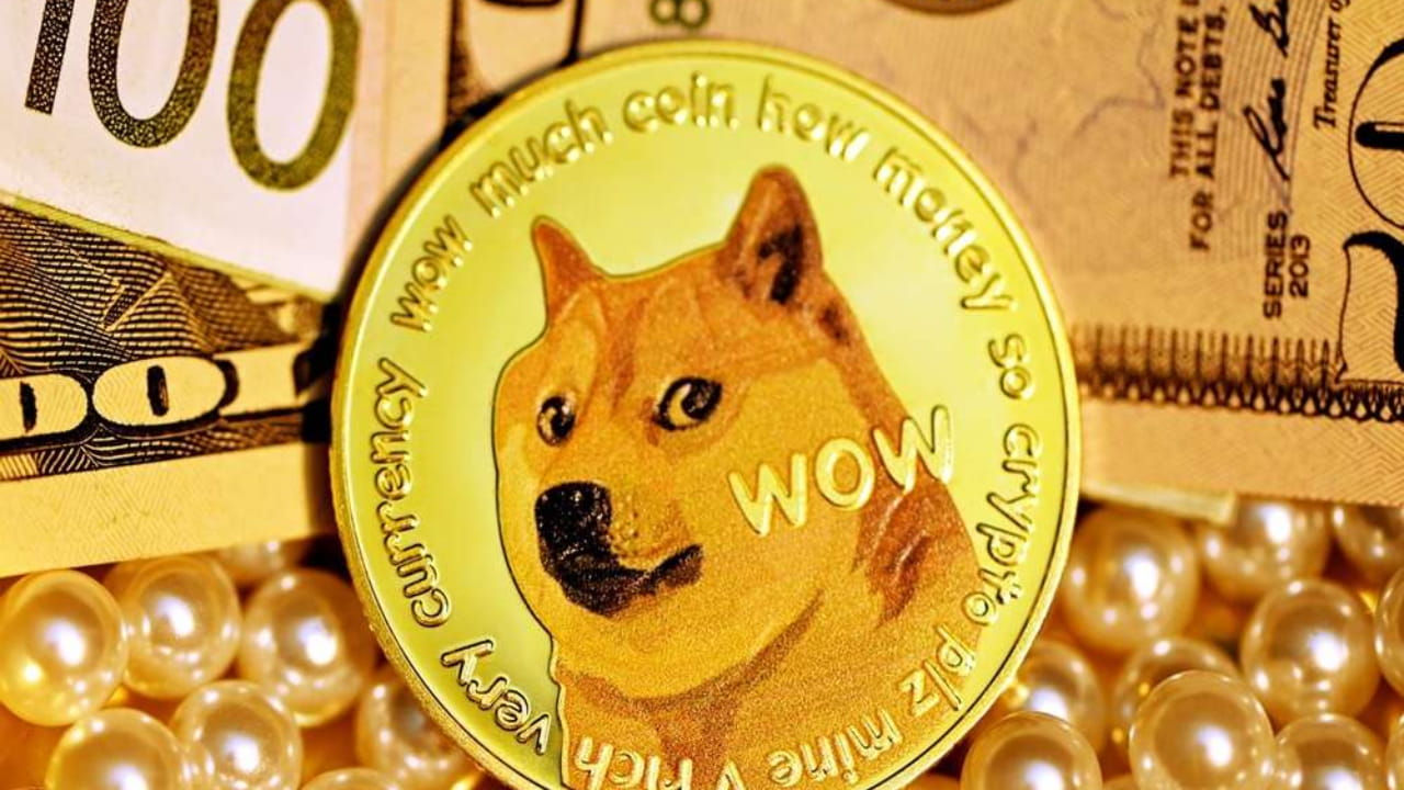 Rise Community: Dogecoin Price Prediction DOGE Surges 11% – $1 DOGE ...