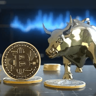 Fast Bull's Profile | Binance Square