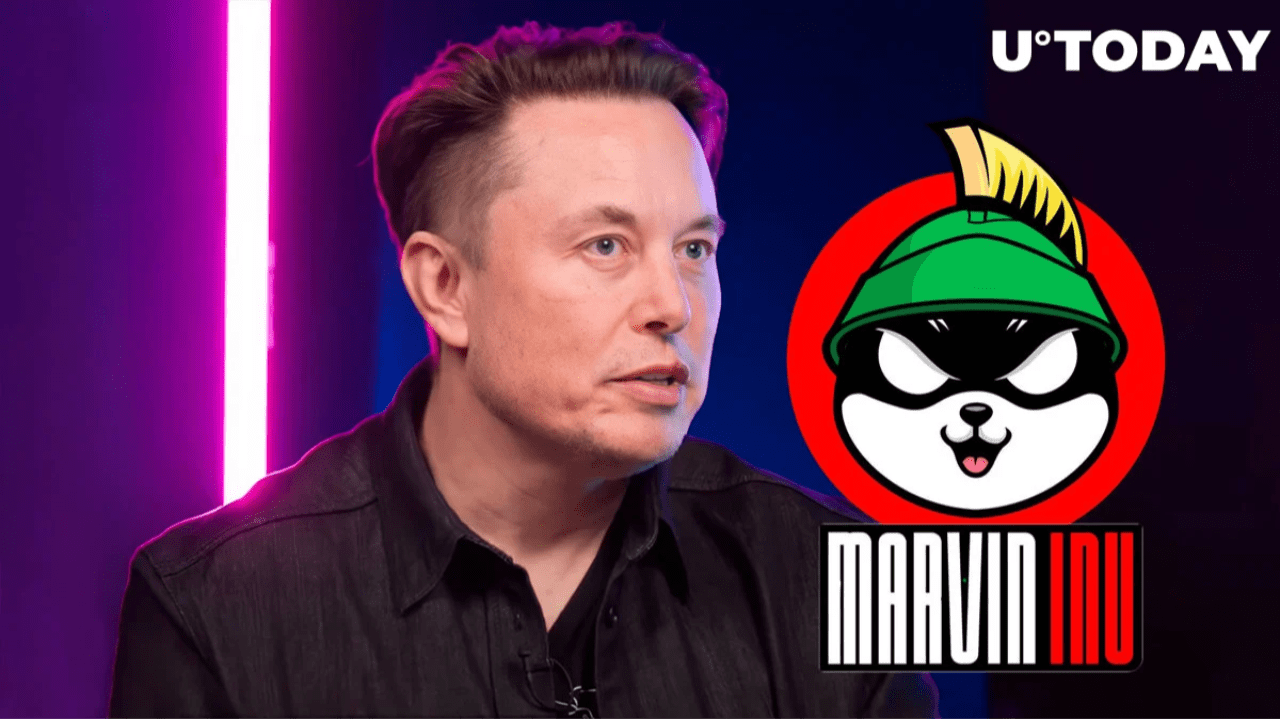Elon Musk’s X Post sends this meme coin skyrocketing 94% | 狂暴大牛市9 on ...