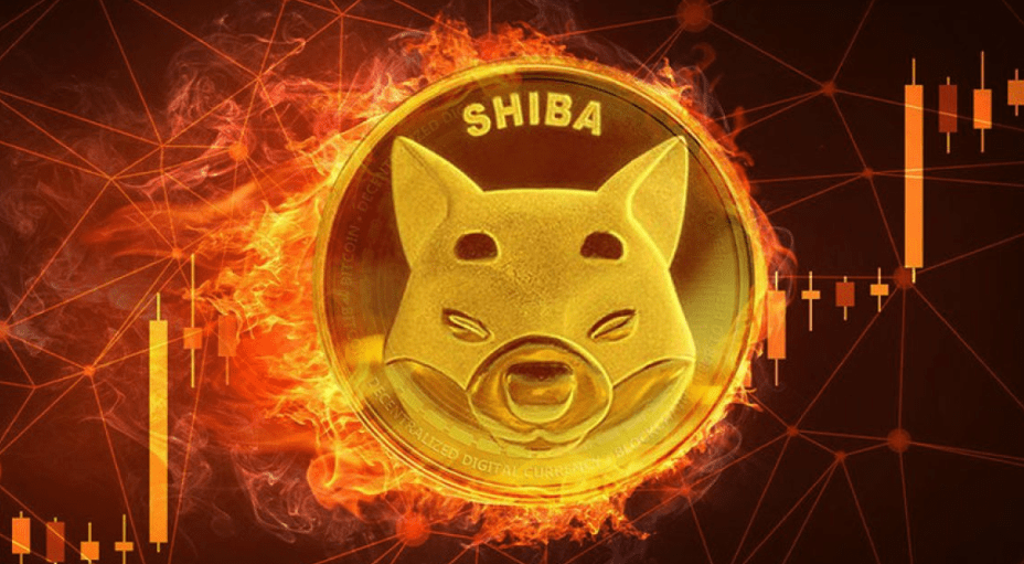 Shiba Inu (SHIB), BONE, LEASH Wallet Holders Should Pay Atte | Crypto Web3 Today on Binance Square