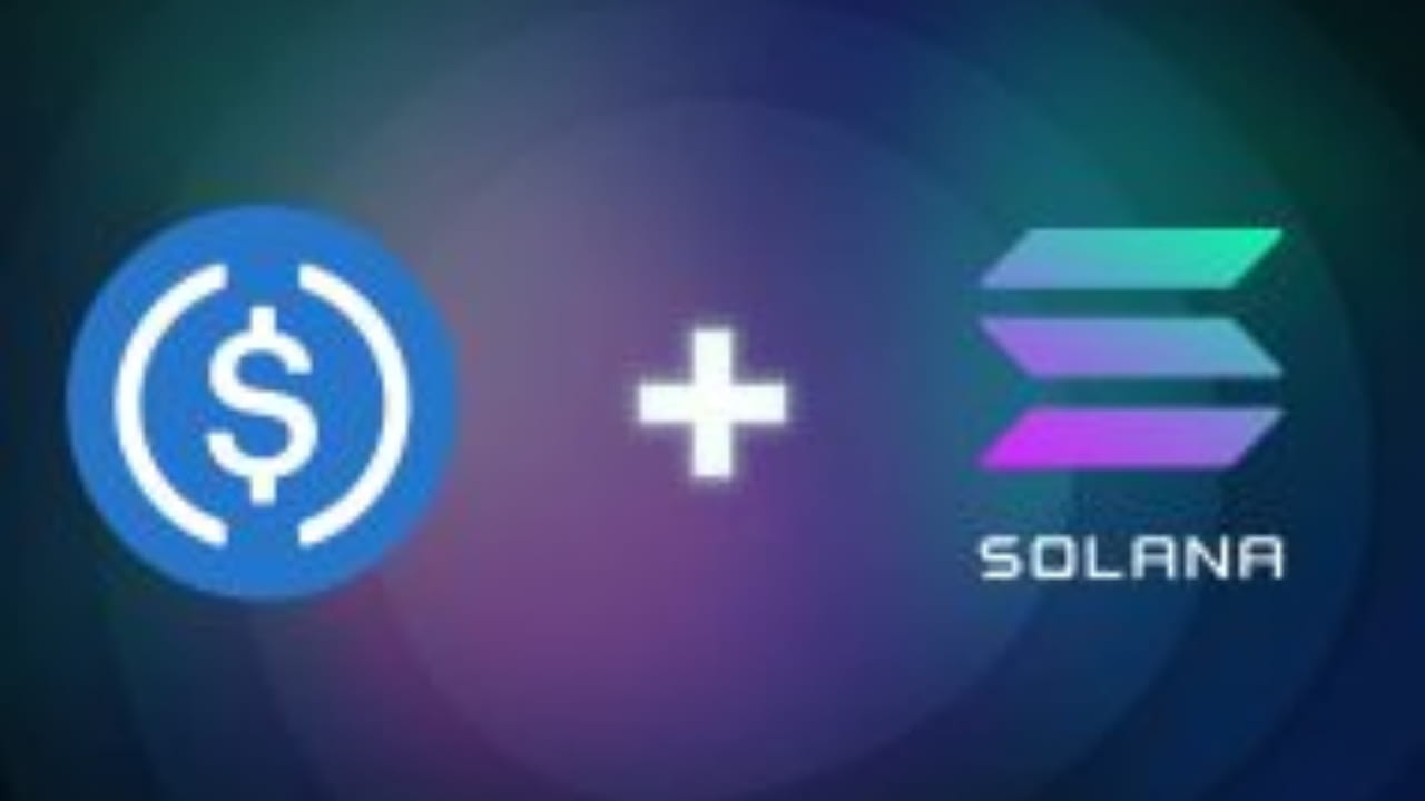 Solana metrics hit new highs in November | Tạp Chí Bitcoin on Binance Square