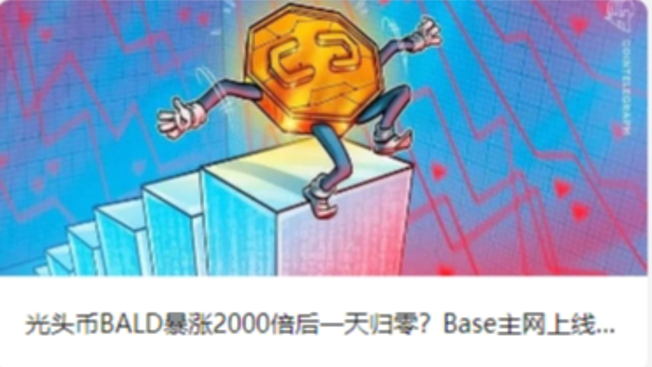 Bald coin BALD skyrocketed 2,000 times and then returned to zero one ...