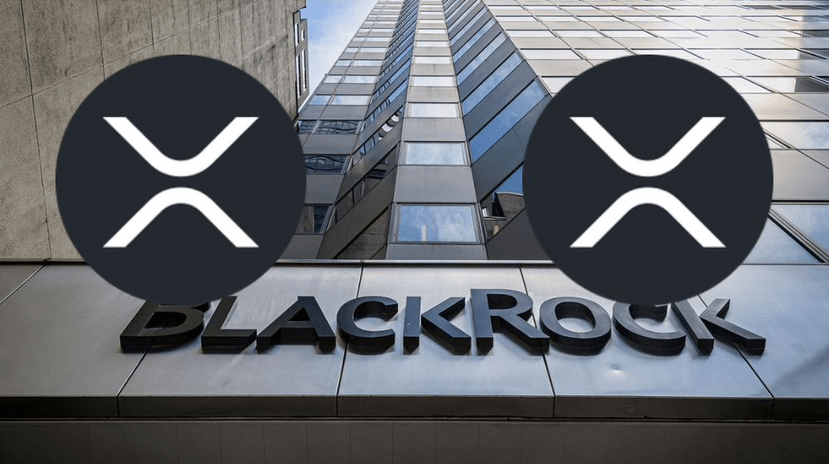 XRP Rollercoaster: Fake Blackrock Filing and Bitcoin ETF Prospects" | BitEagle News on Binance ...