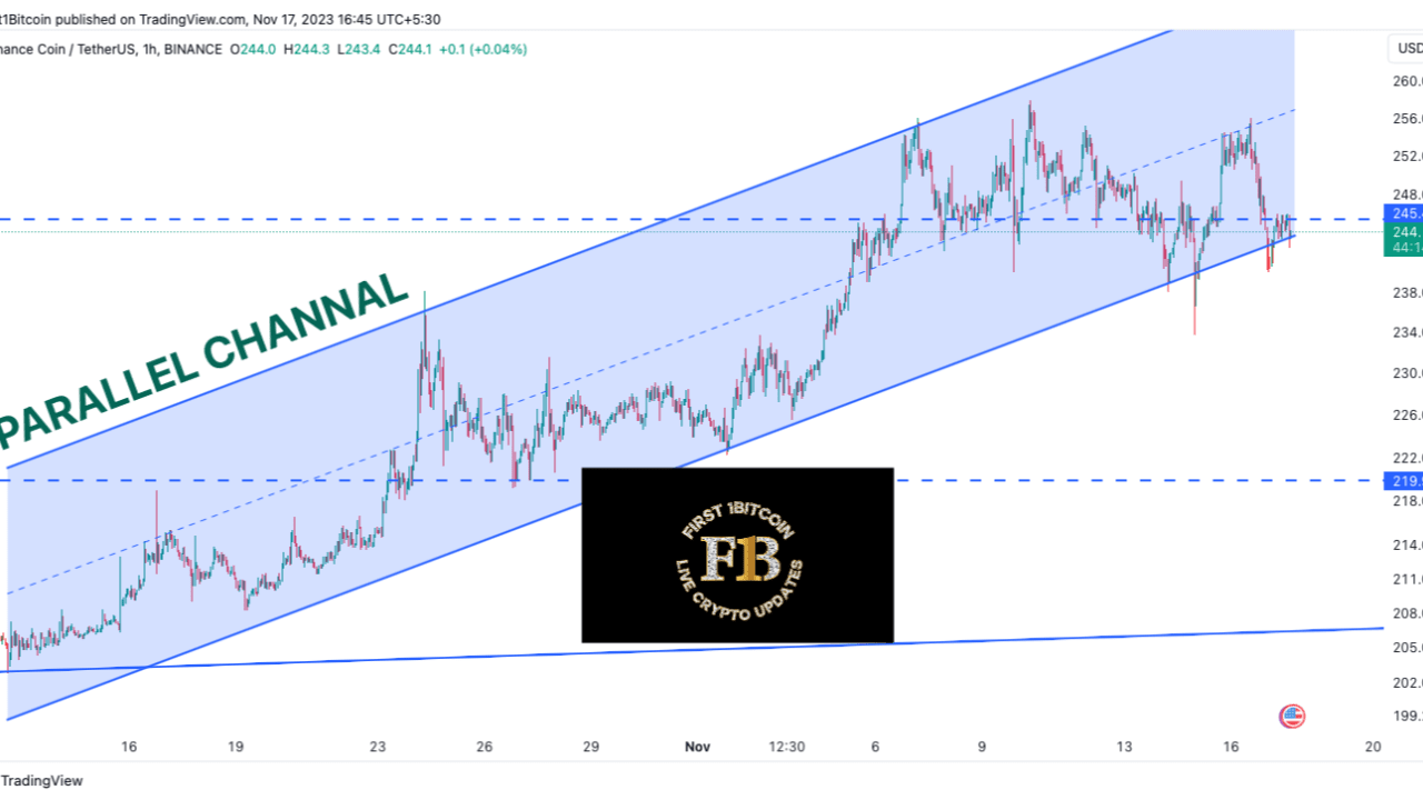 "Riding the Crypto Waves: Exciting Opportunities Unveiled in BNB/USDT ...