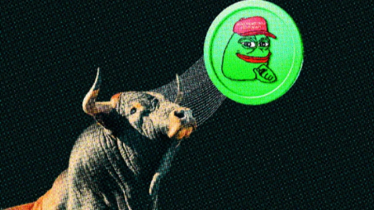 [Rise Community] PEPE Price Analysis: Back in action, PEPE is expected ...