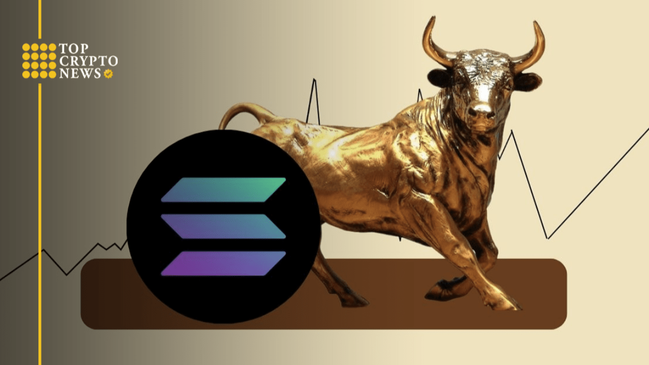 After FTX Collapse Solana Ecosystem Bounces Back Stronger ...