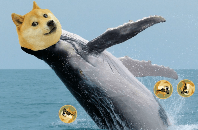 Whales accumulate more than 73,000,000 DOGE In the past 10 | Vuong Chi ...