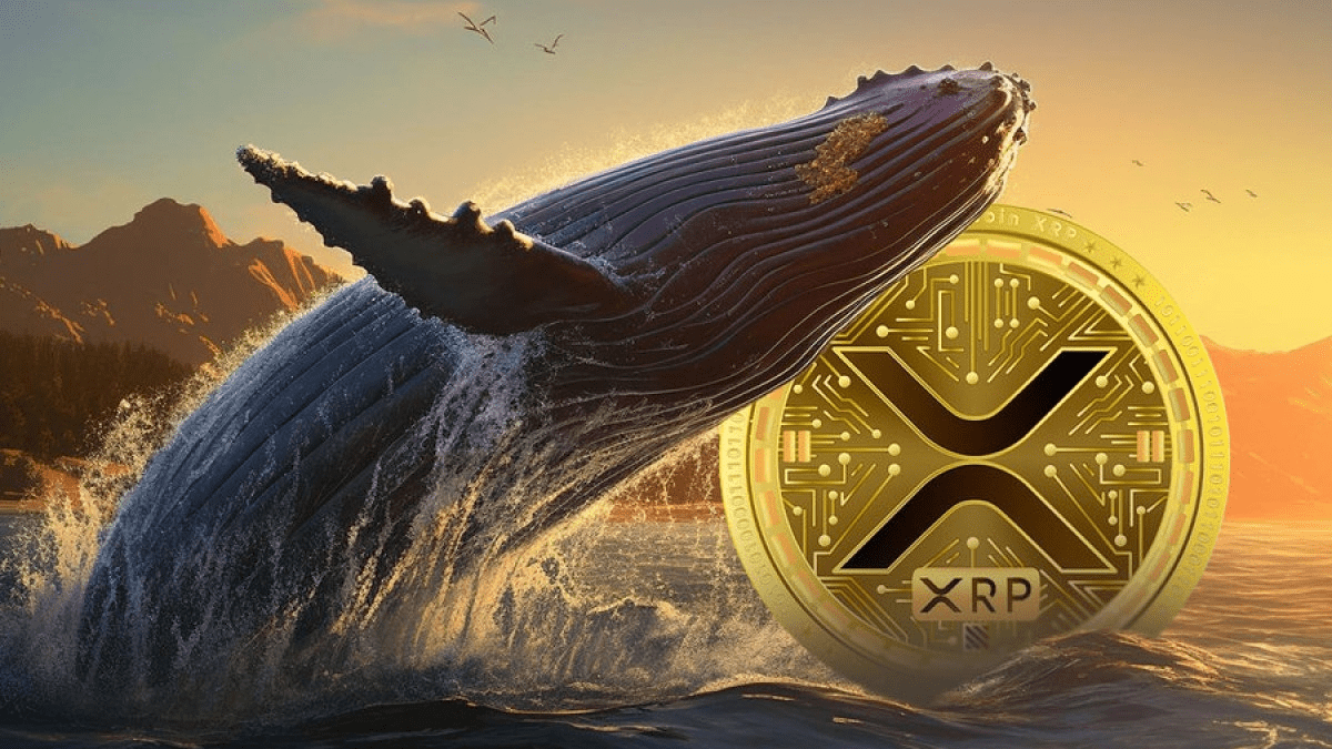 Massive XRP Transfers: Whales Move $24 Million Worth of Tokens. | CryptoWatchers on Binance Square
