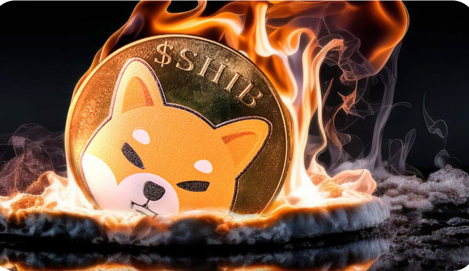 Shiba Inu Sets Fire to Over Half Billion SHIB, Weekly Burn R | Crypto Web3 Today on Binance Square