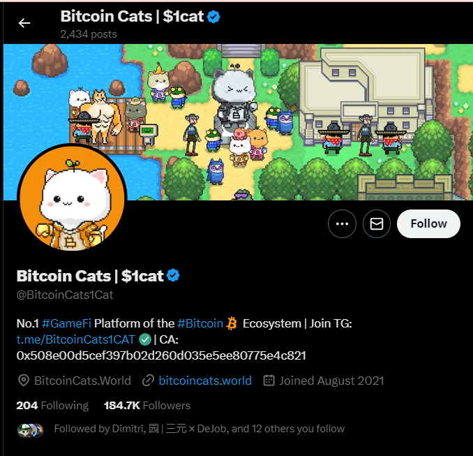 $1Cat or Bitcoin Cats - New Meme | Dec 28 Update Bitcoin Ca | DataFi ...