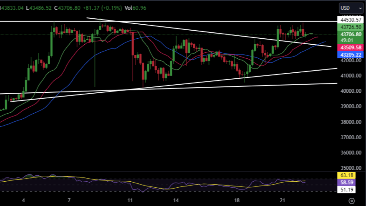 Bulls and Bears Fight Tooth and Nail for BITCOIN Throne | Coingabbar ...