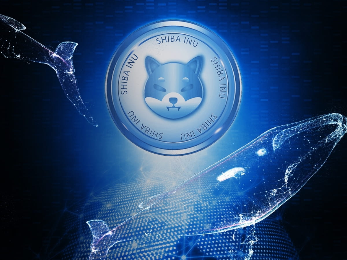 Shiba Inu Update: Mega Whale Grabs 4 Trillion SHIB Tokens | Technical ...