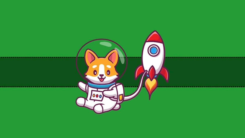 Three Reasons Why BONK Price is Up 1200% in 30 Days | Digital Crypto on ...