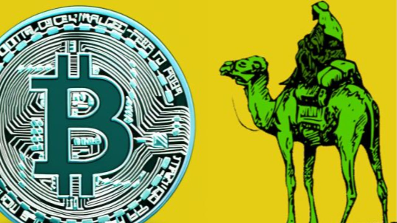 美国法院批准没收 Silk Road 的 69,370 BTC | Tạp Chí Bitcoin发布于币安广场